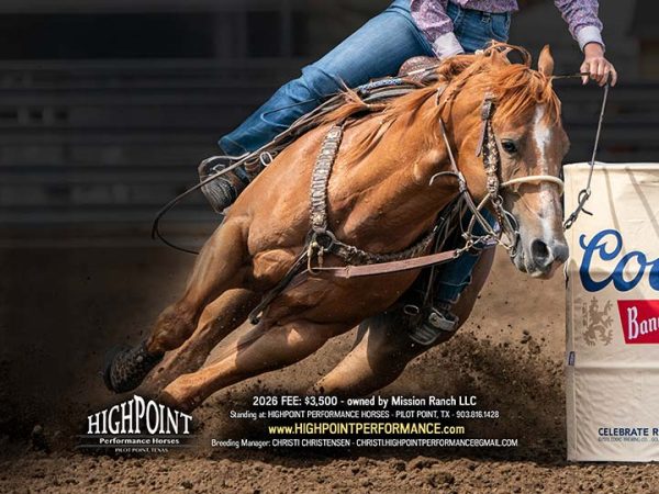 Highpoint Performance Stallions - High Point Performance