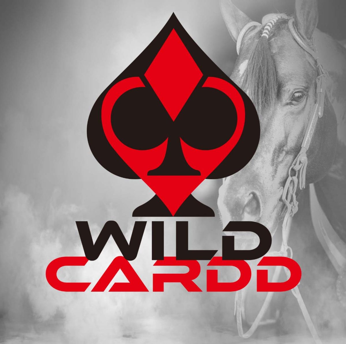 Wild Cardd - High Point Performance
