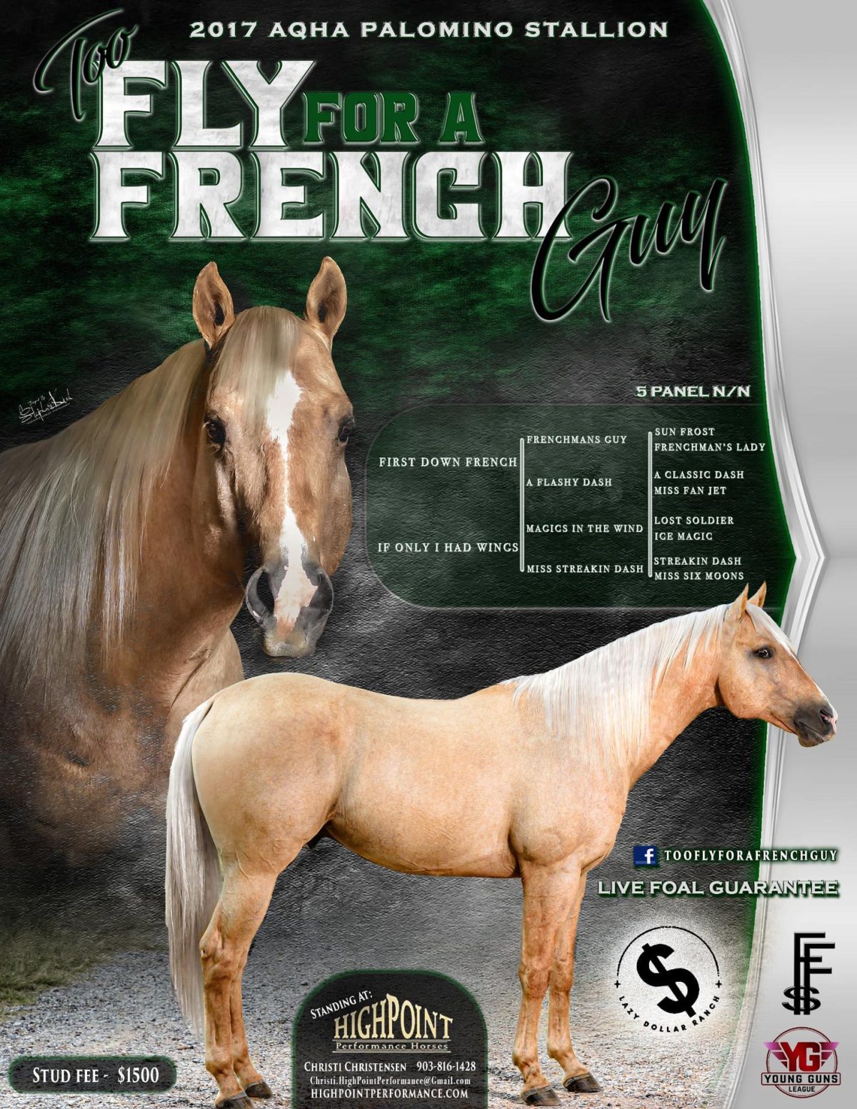Too Fly For A French Guy - High Point Performance