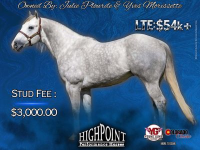 Highpoint Performance Stallions - High Point Performance